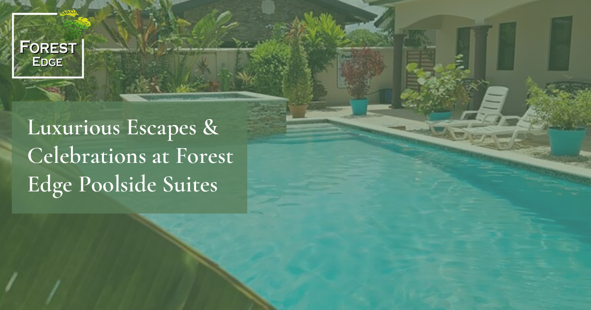 Forest Edge Poolside Suites and Lounge - Home
